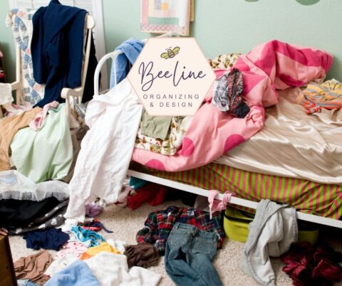 What is the Meaning of the Word Disorganization?